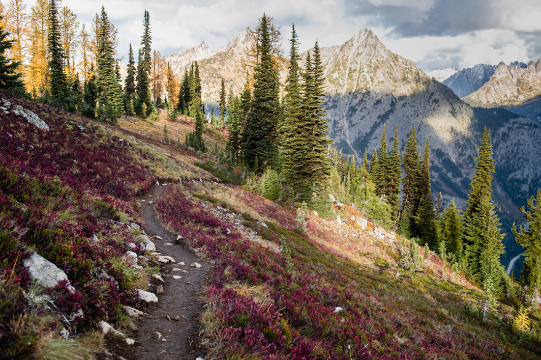 Photos: Unbelievably vivid colors on the Maple Loop Trail, a true PNW ...