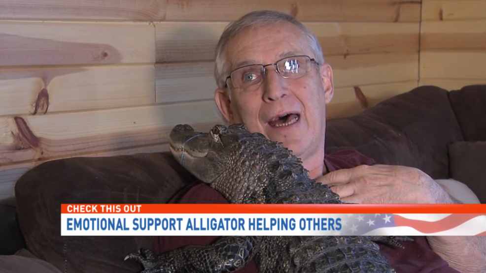 Wally the emotional support alligator brings joy to York County man | WHP